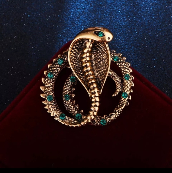 Jewelry | Vintage Snake Brooch | Poshmark